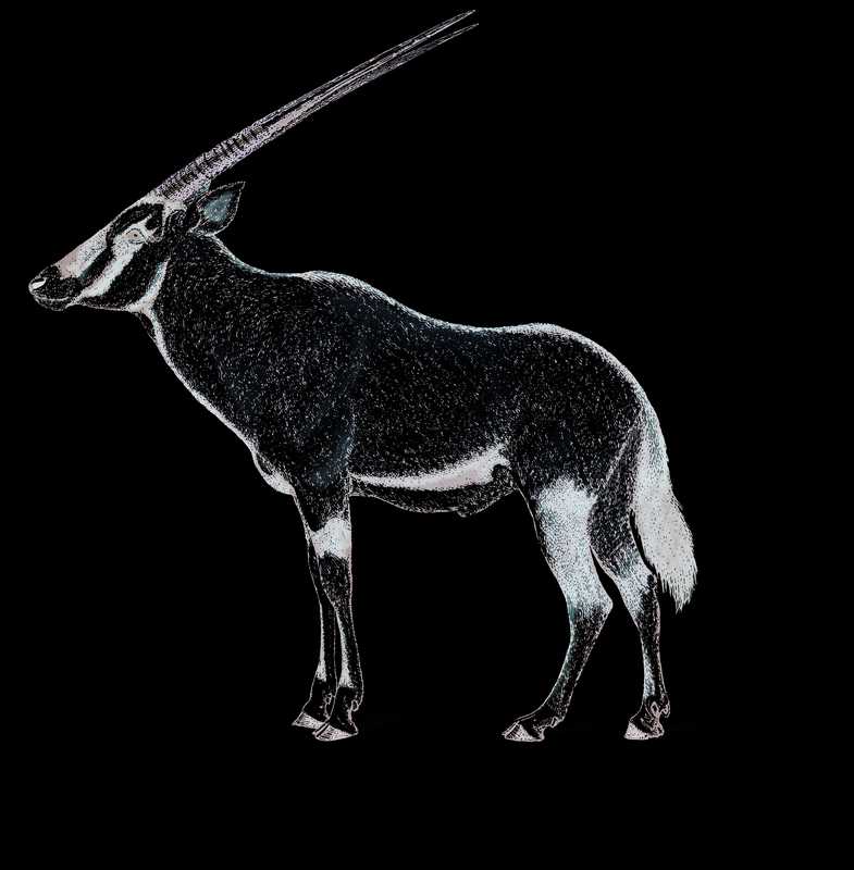 PHP电子书下载 – 免费PHP教程书籍资源下载-多考网（duokao）